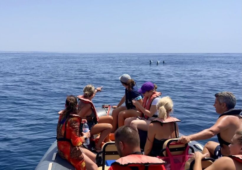 Lagoa: Dolphin Watching & Benagil Tour with Biologist Guide - The Itinerary in Detail