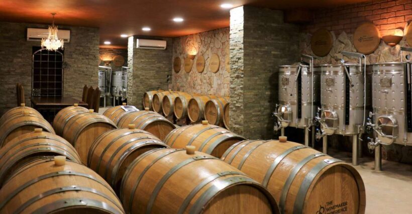 Lagoa: Guided Winery Tour and Local Wine Tasting - Who Is This Tour Perfect For?