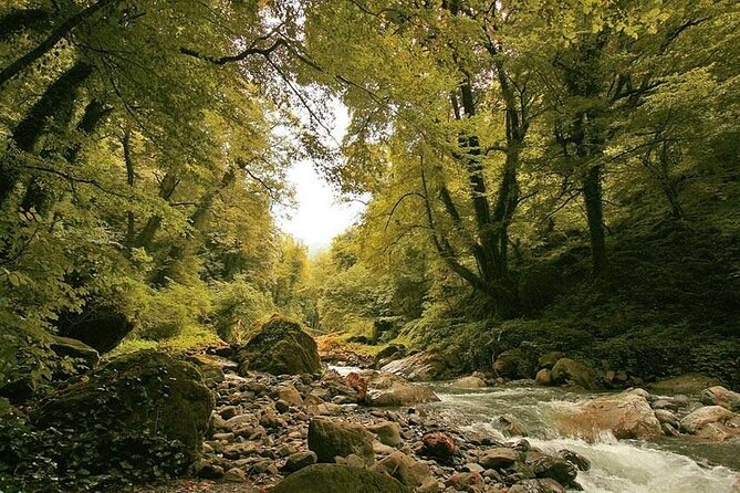 Lagodekhi - A day hiking from Tbilisi - Who Will Love This Tour?