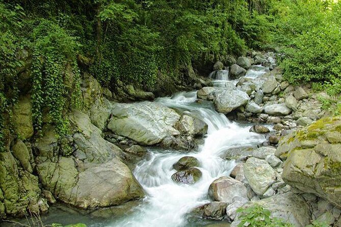 Lagodekhi - A day hiking from Tbilisi - The Sum Up