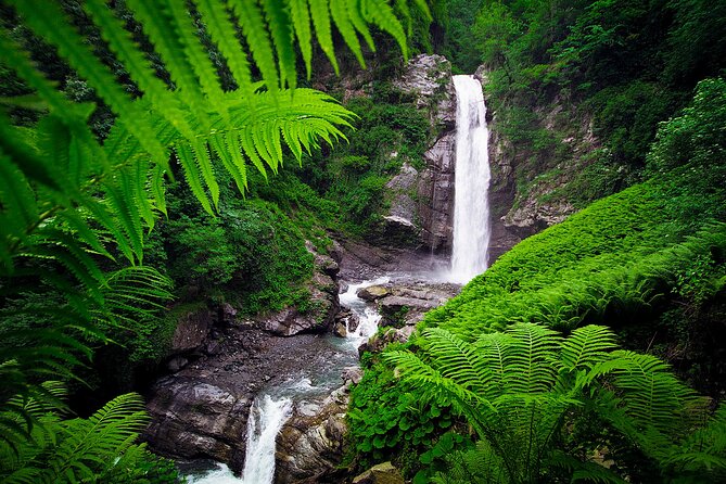 Lagodekhi - A day hiking from Tbilisi - FAQ