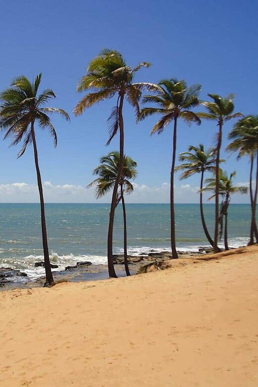 Lagoinha in 1 Day: Beauty of Ceará - Transportation and Group Dynamics