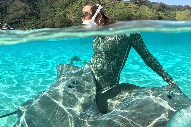 Lagoon and Marine Wildlife Tour in Moorea - What to Expect from the Lagoon and Marine Wildlife Tour in Moorea