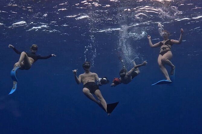 Lagoon and Marine Wildlife Tour in Moorea - The Snorkeling and Wildlife Encounters