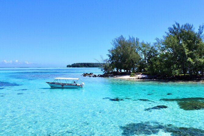 Lagoon and Marine Wildlife Tour in Moorea - FAQ