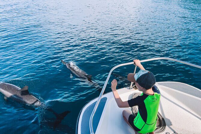 Lagoon and Wildlife Discovery on a Private Boat in Moorea - FAQs