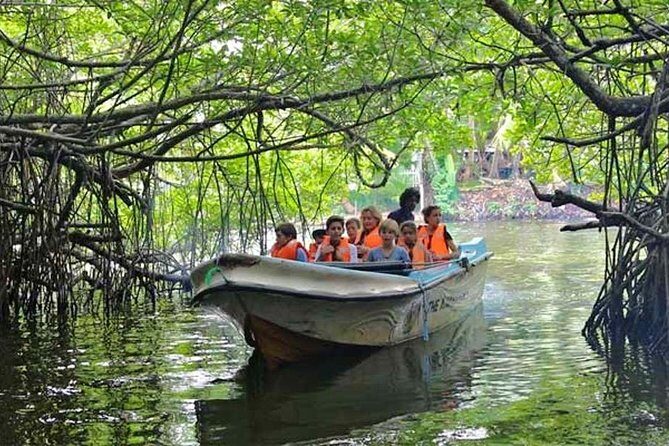 Lagoon Escapes Negombo Day Trip - The Sum Up