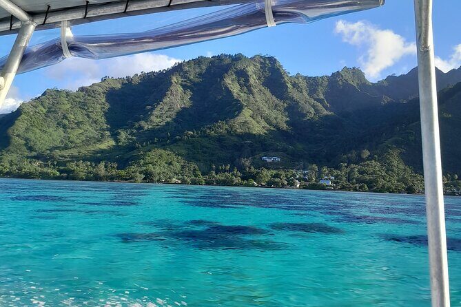 Lagoon Exploration and Snorkeling in Moorea - The Sum Up
