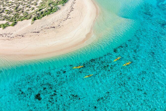 Lagoon Explorer - Ningaloo Reef Full-Day Kayaking and Snorkeling Adventure - Why This Tour Just Works