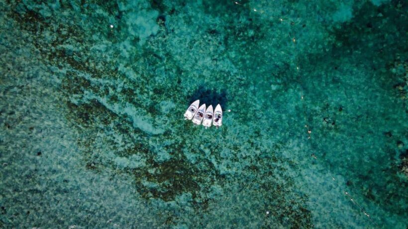 Lagoon ride and snorkeling - Who Should Consider This Tour?