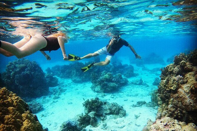 Lagoon Tour in Moorea in Small Group with Lunch - FAQ