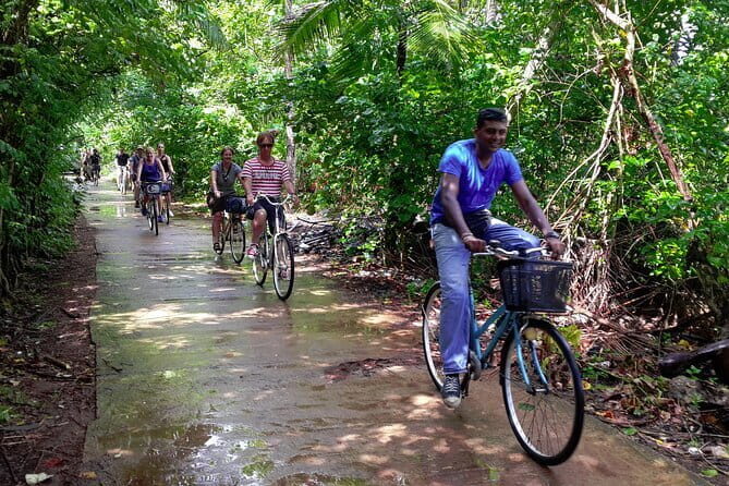Lagoon Village by Bicycle from Galle - Why This Tour Offers More Than Just a Bike Ride