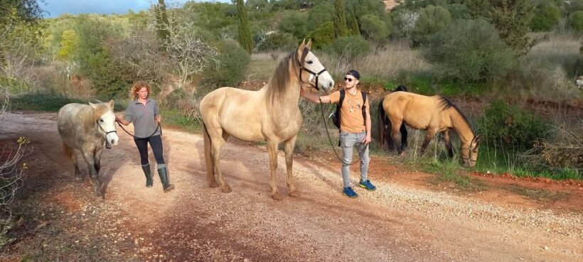 Lagos: A walk with a rescued horse at the sanctuary - A Calm and Authentic Experience in Nature