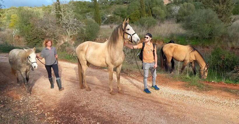 Lagos: A walk with a rescued horse at the sanctuary - Who Will Enjoy This Tour?