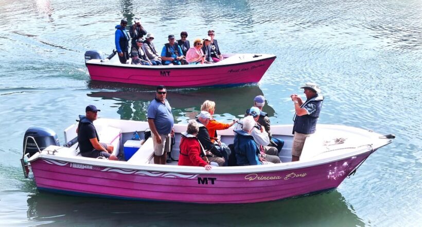 Lagos-Algarve: Grotto Trip - Boat Trip Late afternoon - Why This Grotto Boat Trip Offers Real Value
