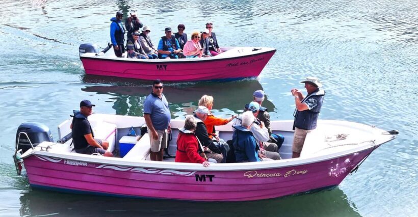 Lagos-Algarve: Grotto Trip - Boat Trip Late afternoon - Who Will Love This Tour?