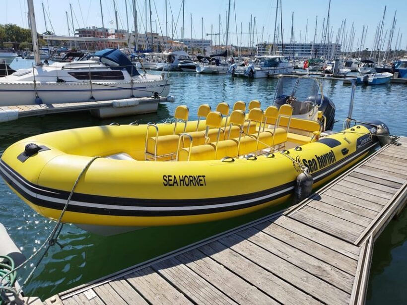 Lagos: Benagil Cave Sunrise Boat Tour - What to Expect