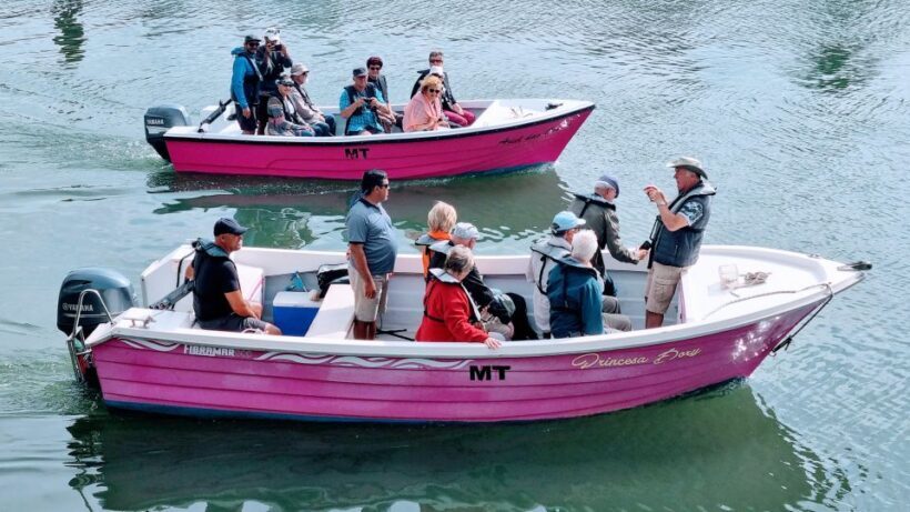 Lagos: Boat Trip to Grottos of Ponta da Piedade and Caves - Key Points