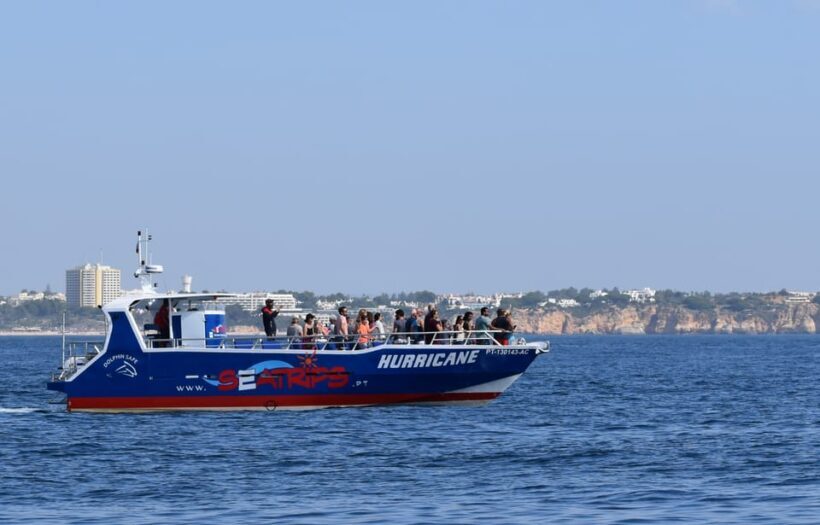 Lagos: Dolphin & Benagil Tour with Marine Biologist - Practical Details: Making the Most of Your Trip