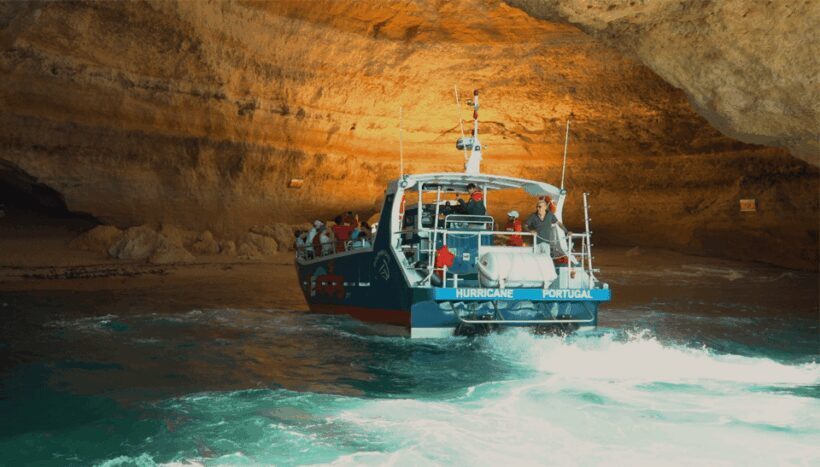 Lagos: Dolphin & Benagil Tour with Marine Biologist - Final Word