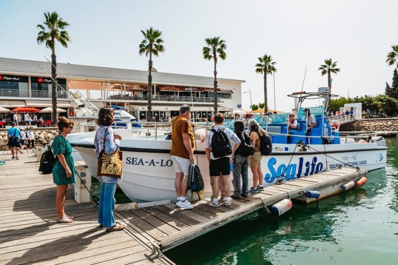 Lagos: Dolphin Watch Tour with Professional Marine Biologist - Final Thoughts