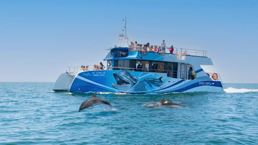 Lagos: Dolphin Watching Half-Day Cruise & Water Activities - An In-Depth Review of the Lagos Dolphin Cruise