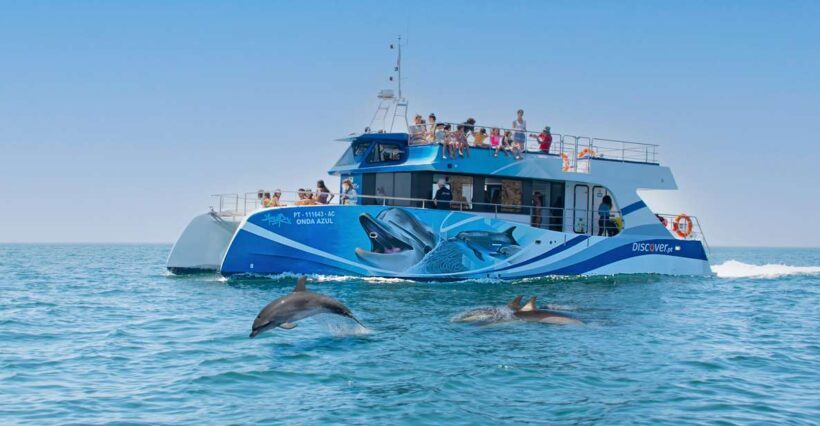Lagos: Dolphin Watching Half-Day Cruise & Water Activities - Final Thoughts: Who Is This Tour For?