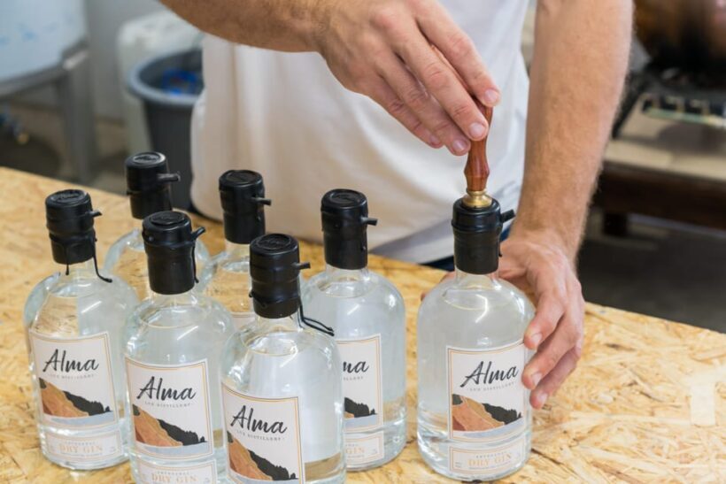 Lagos: Guided Gin Distillery Tour With Tasting at Alma Luz - Who Should Consider This Tour?