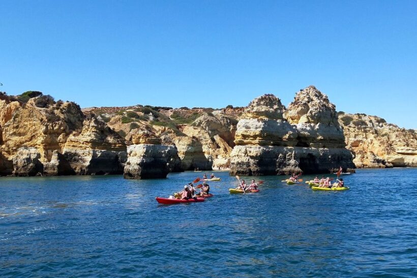 Lagos: Guided Kayak Tour - What to Expect on the Lagos Kayak Tour