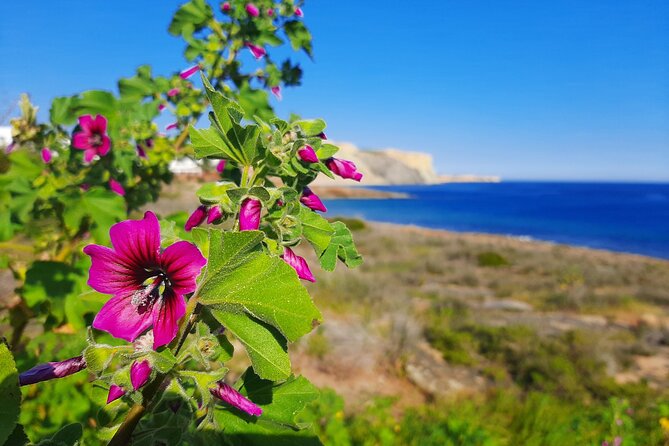 Lagos to Luz with an eco Tuk and local guide - What to Expect on the Lagos to Luz Eco Tuk Tour
