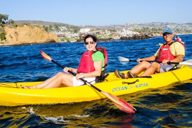 Laguna Beach Kayak Tour with Sea Lion Viewing - Authentic Experiences and Real Traveler Feedback
