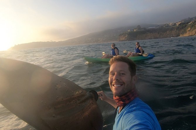 Laguna Beach Open Ocean Kayaking Tour with Sea Lion Sightings - Who Is This Tour Best For?