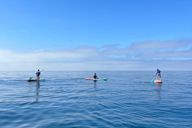 Laguna Beach Stand Up Paddle Activity - Authentic Experiences & Traveler Feedback