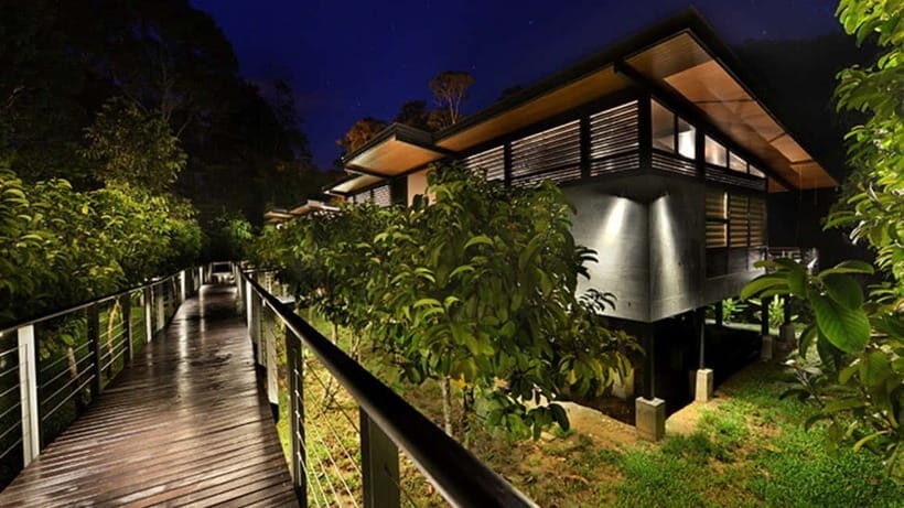 Lahad Datu: 3-Day Danum Valley Rainforest Adventure - Who Will Love This Tour?