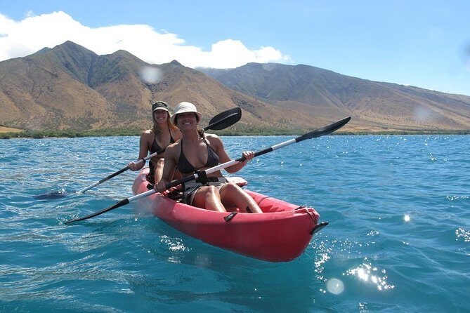 Lahaina Kayak and Snorkel Excursion - A Practical Overview of the Tour