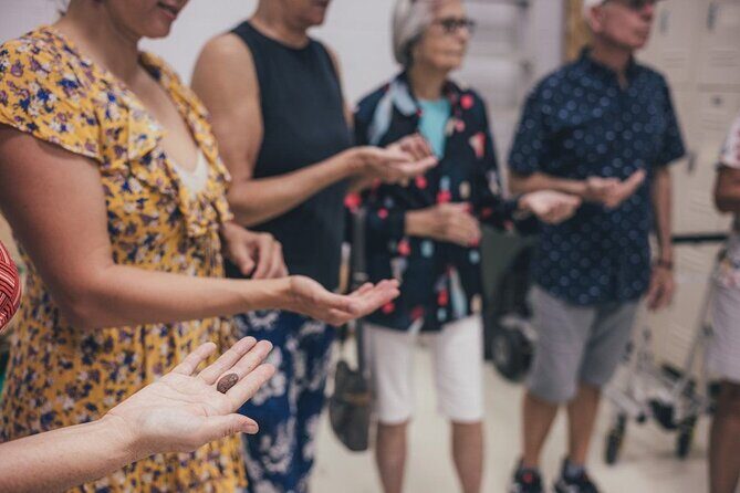 Lahaina Maui Ku'ia Estate Chocolate Factory Experience - What Makes This Tour Special?
