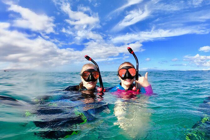 Lahaina Small Group Snorkeling Adventure - Authentic Experiences and Real Guest Feedback