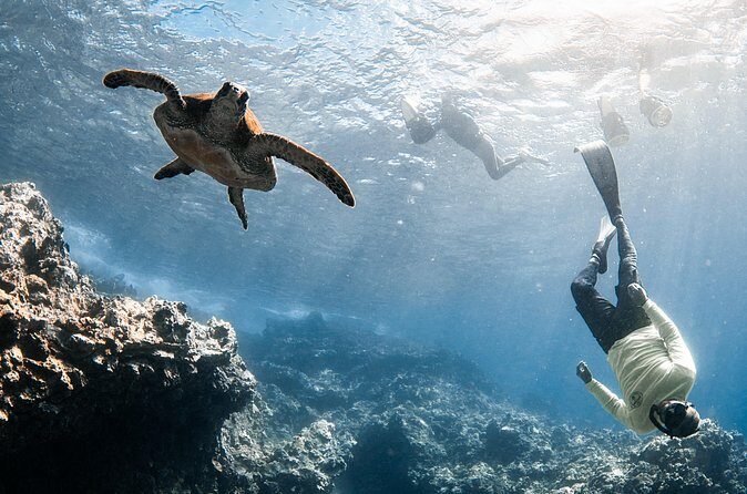 Lahaina Small Group Snorkeling Adventure - FAQs
