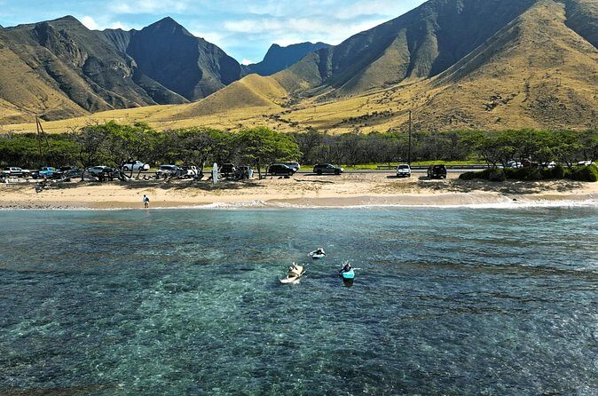 Lahaina Ukumehame Beach Private Surf Activity - Who Will Love This Experience?