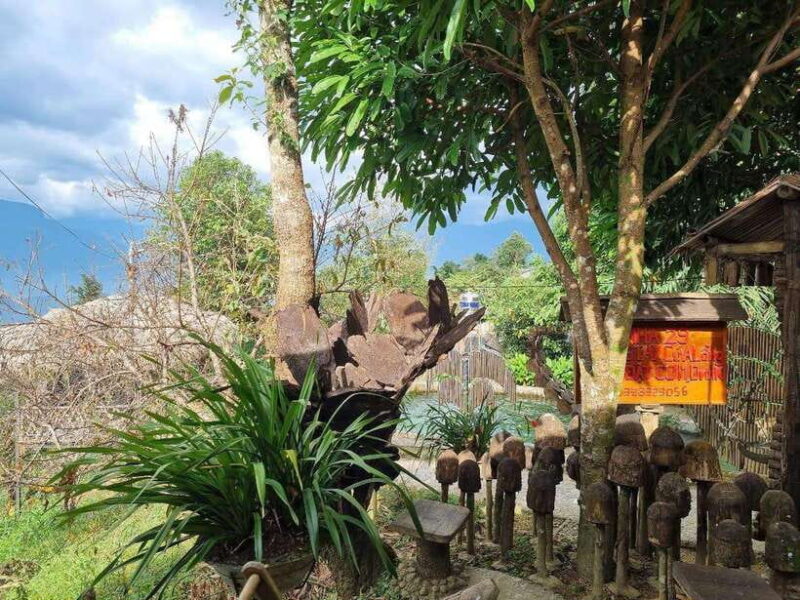 Lai Chau: Colorful Ethnic Market of San Thang on Sunday - Who This Tour Is Best For