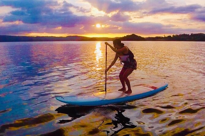 Lake Arenal Private Paddle Board Experience - Accessibility and Participation