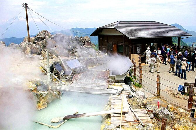 Lake Ashi Hakone Owakudani Kowakien With Daily Chauffeur - Booking and Cancellation Policy