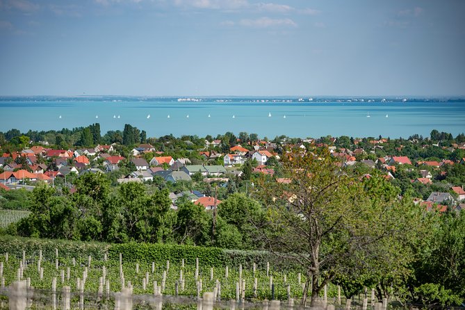 Lake Balaton Full Day Private Wine Tour - Analyzing the Value