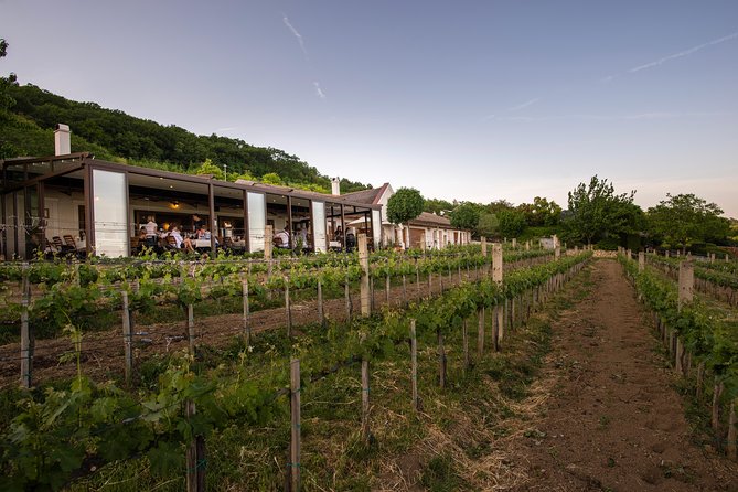 Lake Balaton Full Day Private Wine Tour - The Sum Up
