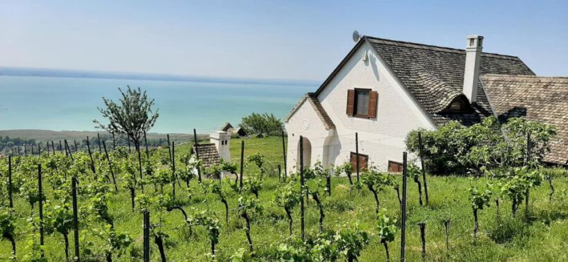 Lake Balaton Full-Day Tour from Budapest - Pricing and Value