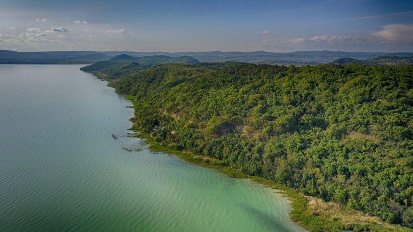 Lake Balaton: Paddle Board Tour of Tihany National Park - Review Snippets That Add Context