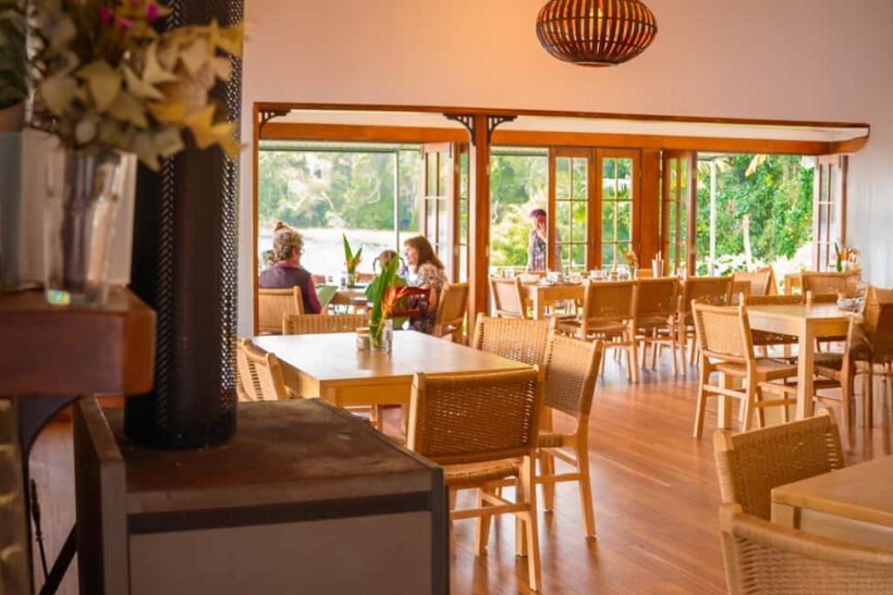 Lake Barrine Boat Cruise  Discover Queenslands Hidden Gem - Key Points