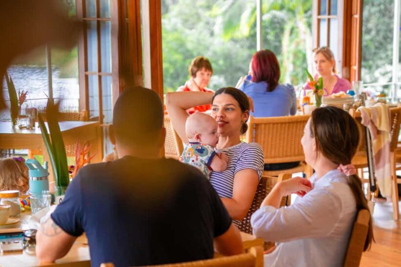 Lake Barrine Boat Cruise  Discover Queenslands Hidden Gem - A Closer Look at the Lake Barrine Experience