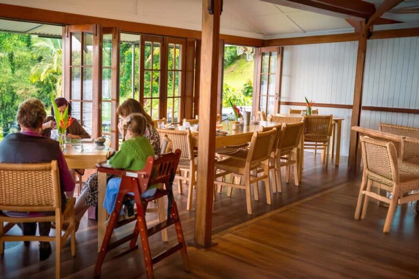 Lake Barrine Boat Cruise  Discover Queenslands Hidden Gem - Final thoughts