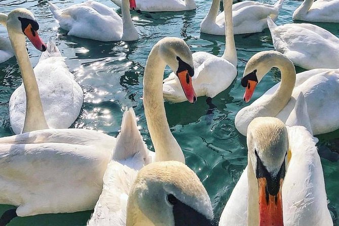 Lake Bled Tour From Ljubljana - Tour Pricing and Availability